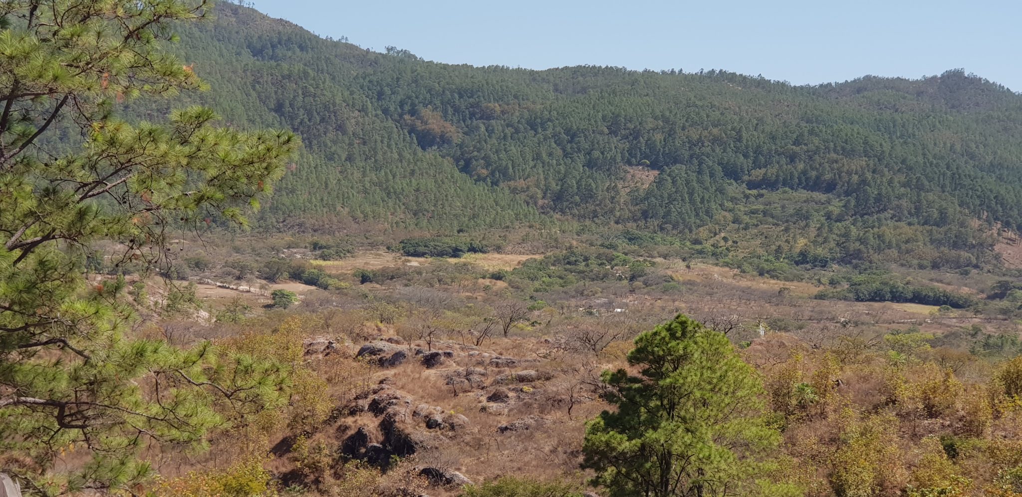 Hidroeléctrica en río Petacón socava ecosistema de Reitoca - Criterio.hn