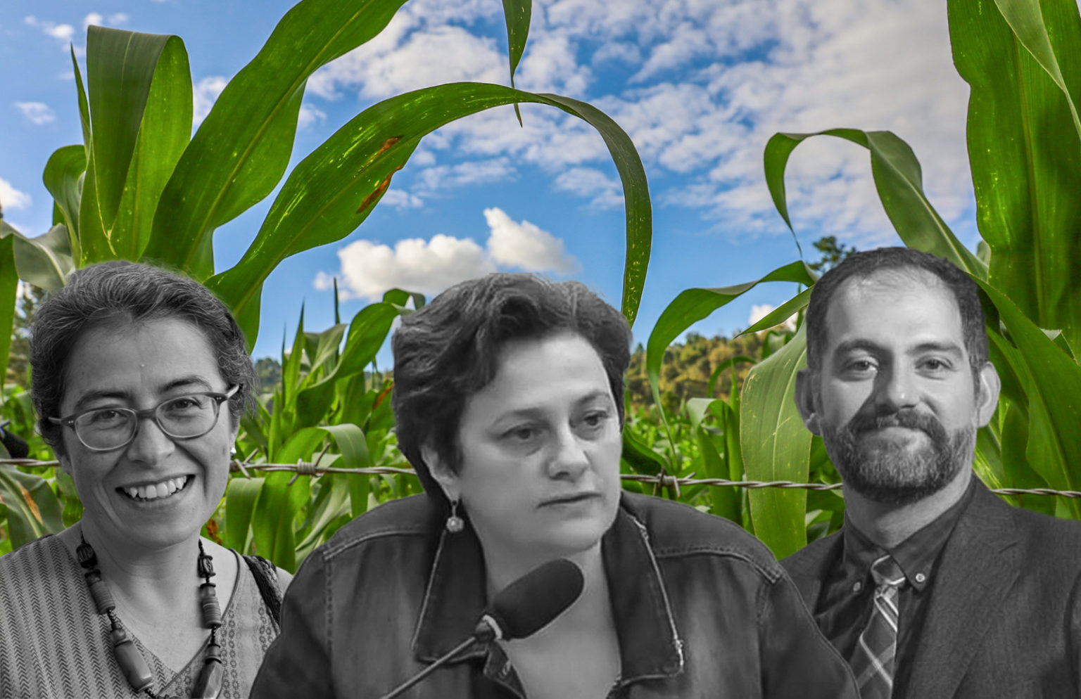 Un enfoque de derechos humanos para la crisis alimentaria mundial ...