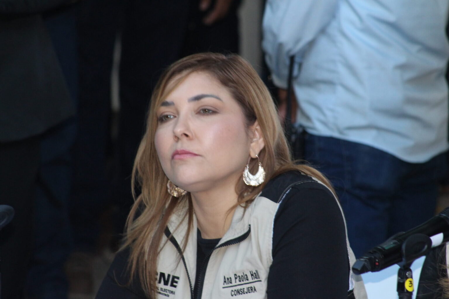 Ana Paola Hall asume hoy presidencia del CNE - Criterio.hn
