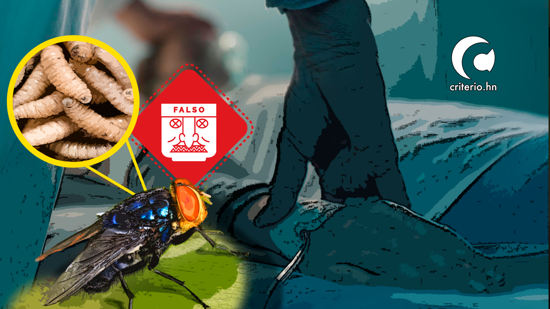 Falso: paciente no falleció por miasis - Criterio.hn