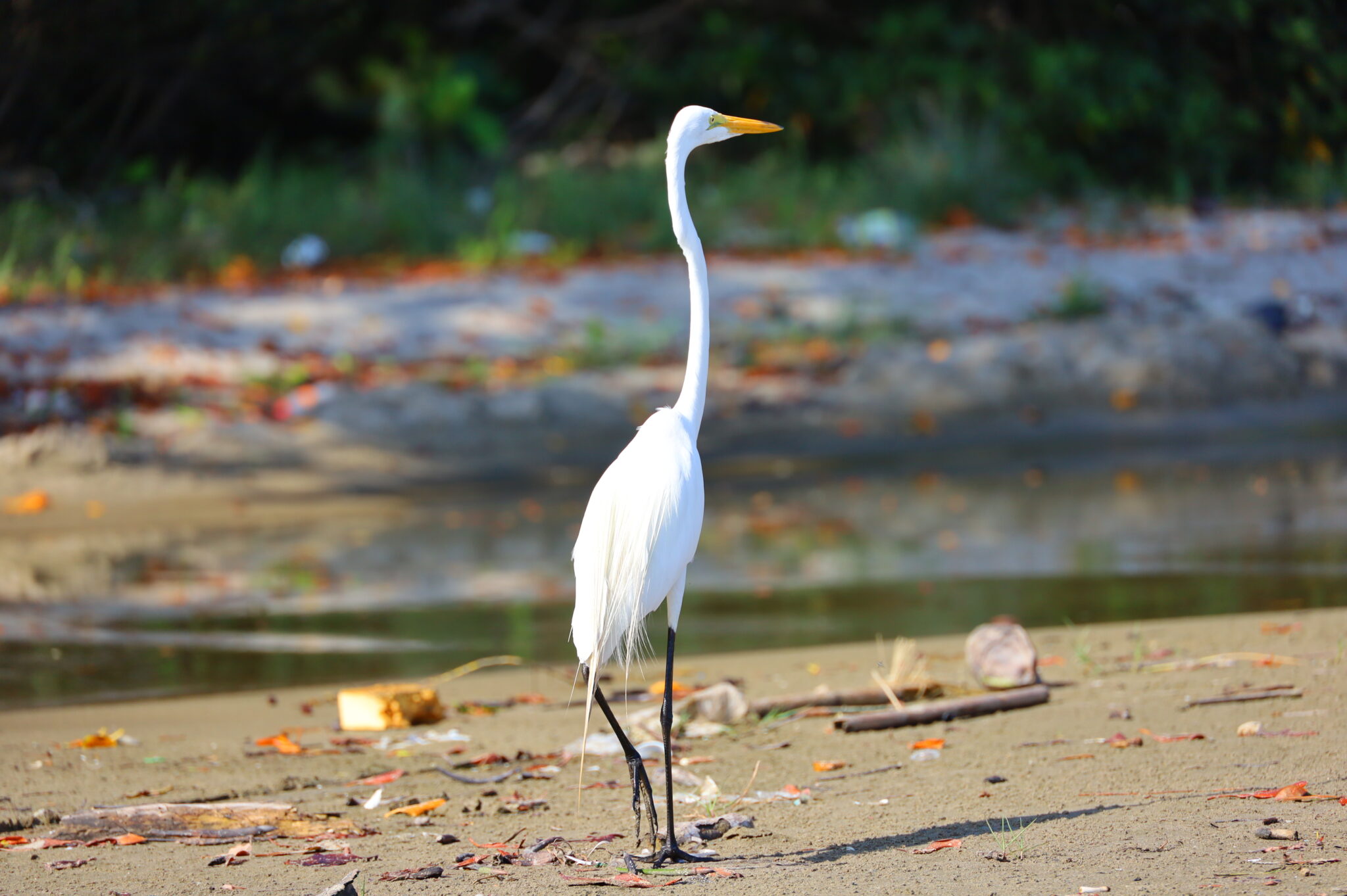 Ms sethi porn vidoes her photos are outdated and strongly